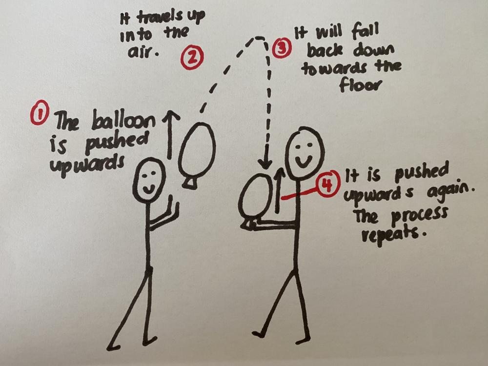 Lesson 3 • Gravity’s grasp | Primary Connections